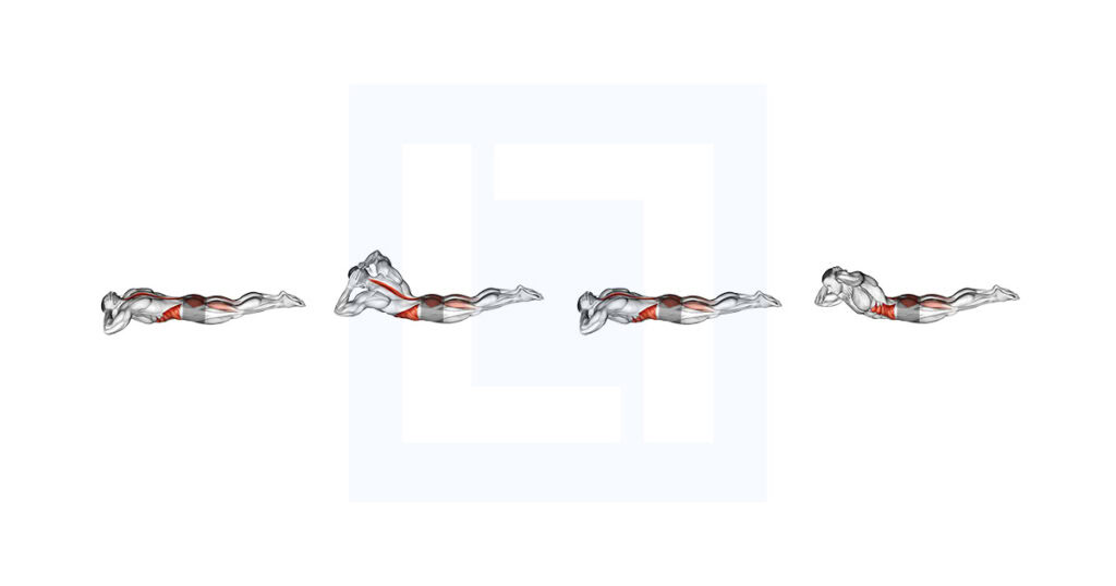 Dumbbell Incline Row: Chest-Supported Back Builder
