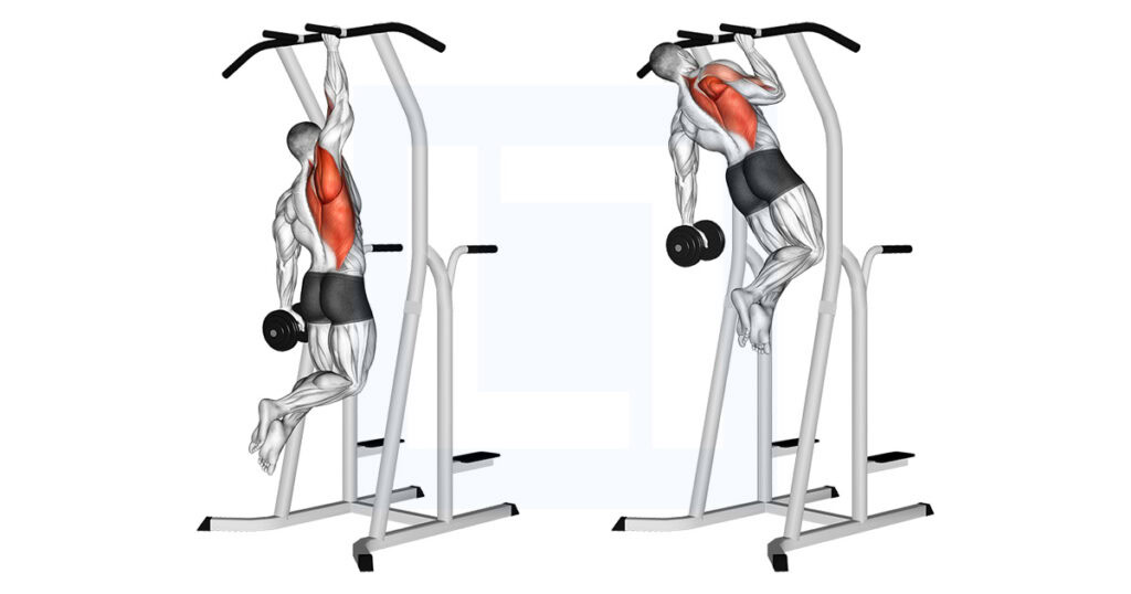 Dumbbell Pullover: Form, Setup, and Cues